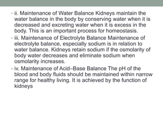 URINARY SYSTEM | PPTX