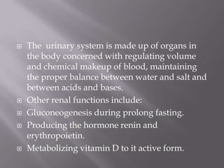 Urinary system abbreviations | PPTX