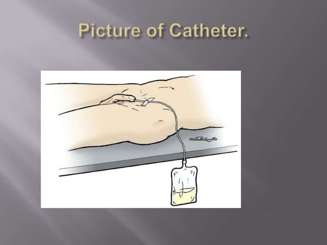 Urinary system abbreviations | PPTX