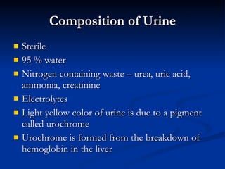 Urinary+system+anatomy+and+physiology | PPT