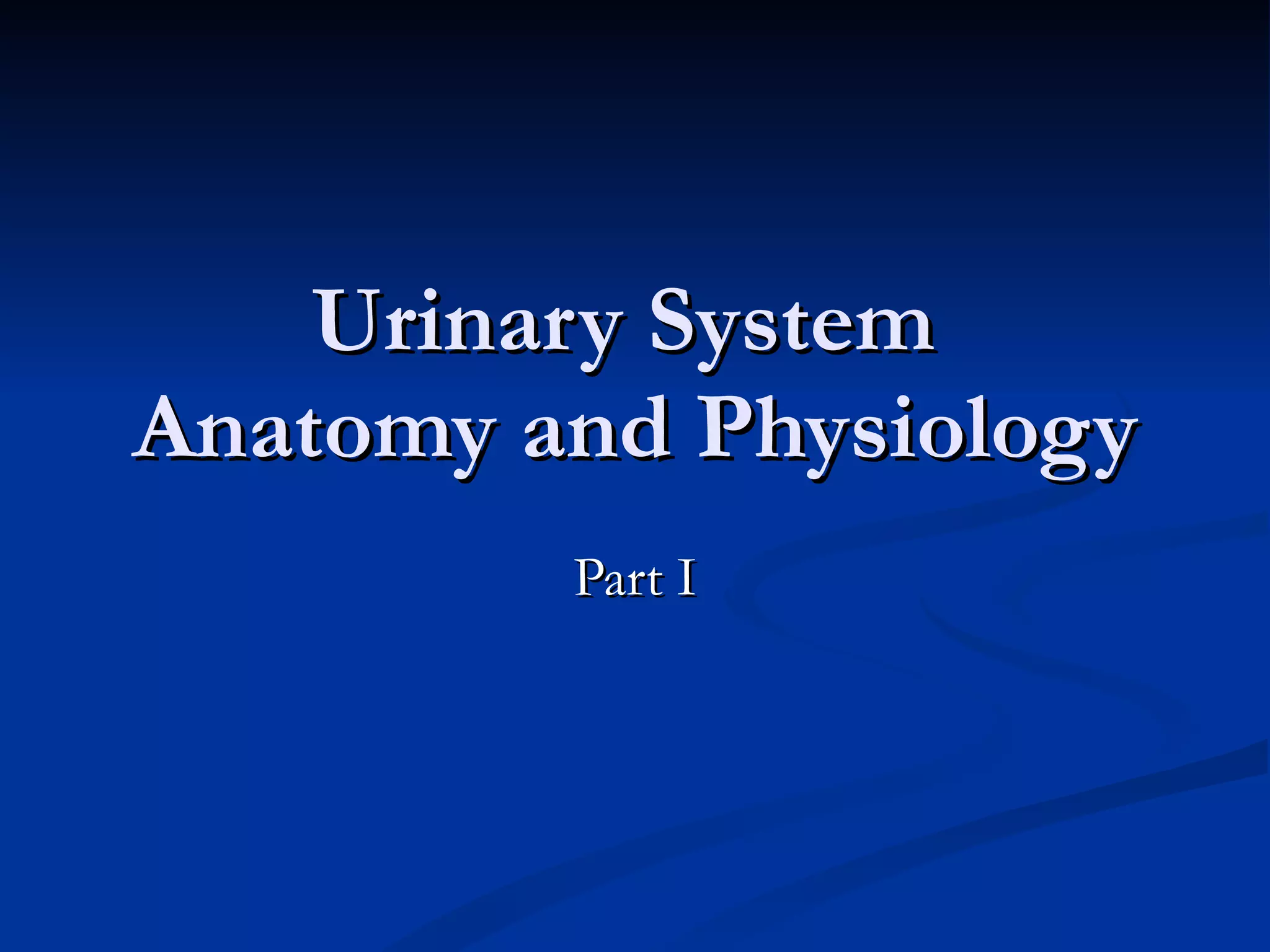 Urinary system anatomy and physiology | PPT | Chemistry | Science