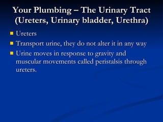Urinary system anatomy and physiology | PPT