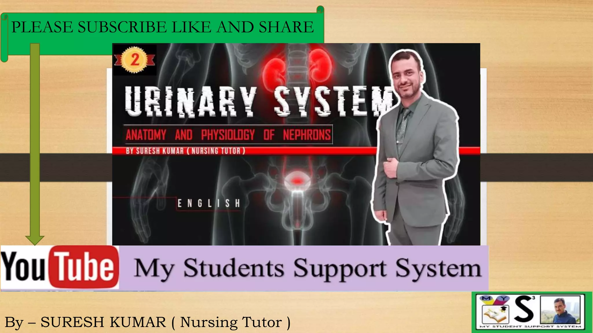 Urinary system (anatomy and physioloyg of nephrons ) english | PPTX