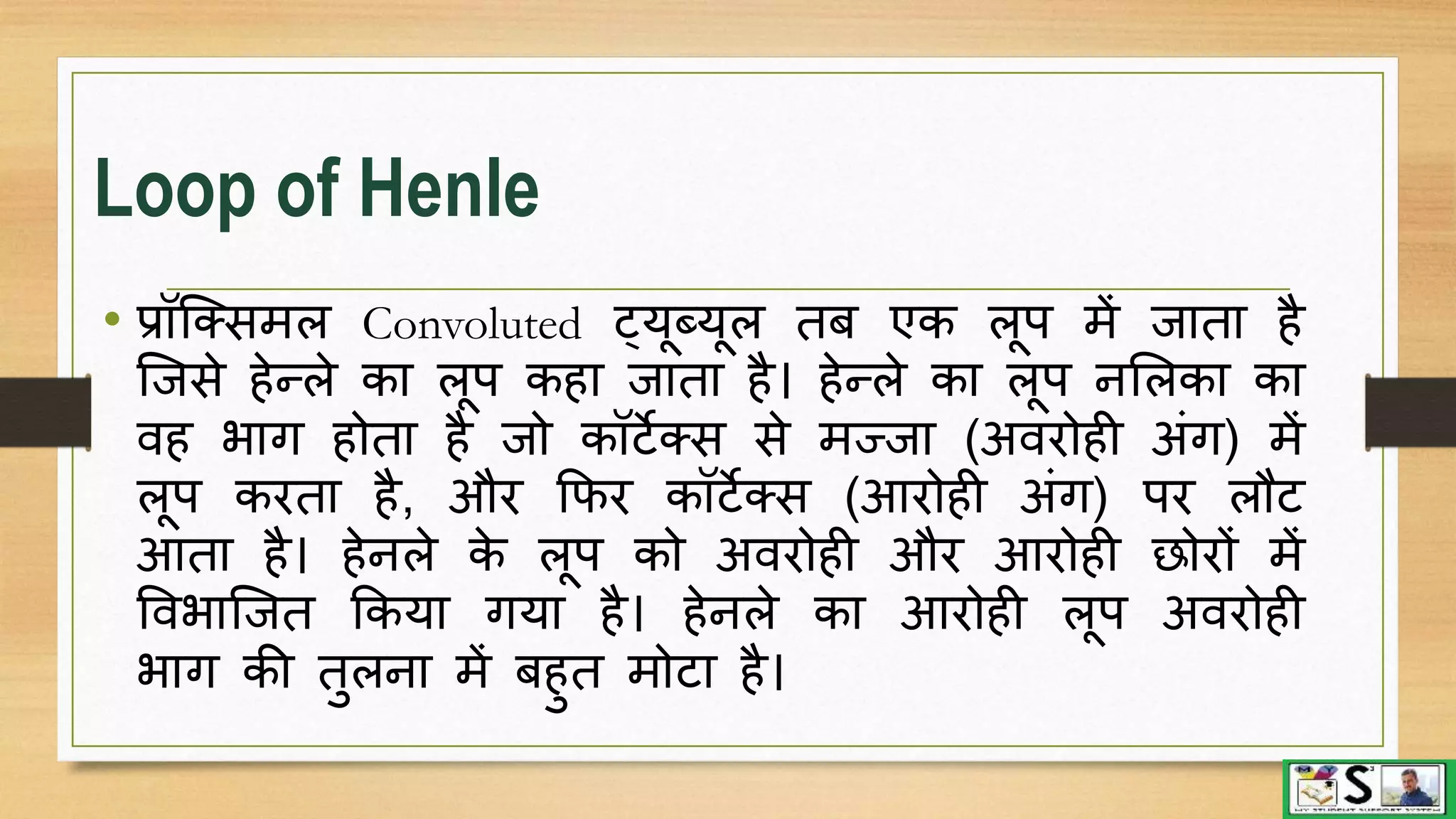 Urinary system (anatomy and physioloyg of nephrons ) hindi | PPTX