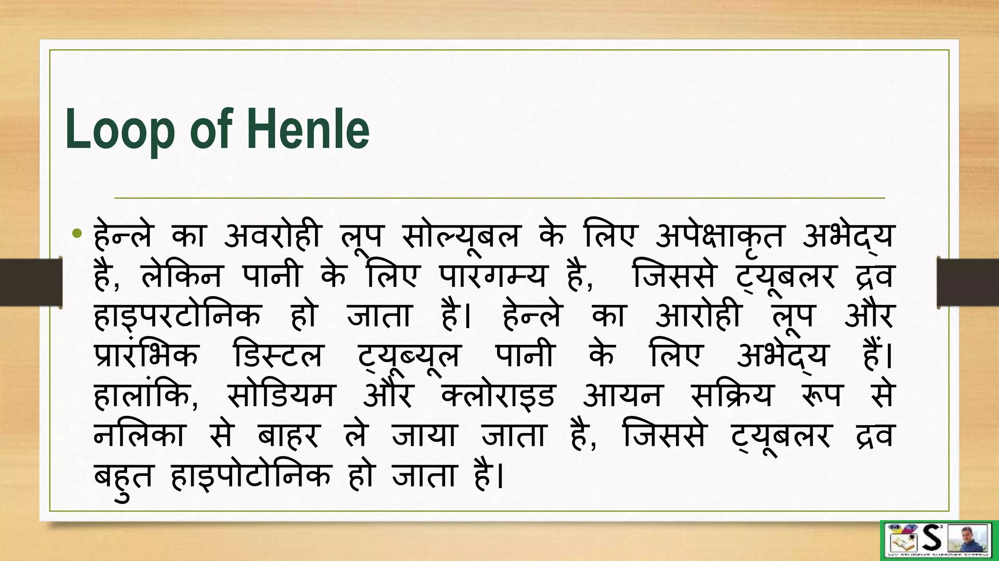 Urinary system (anatomy and physioloyg of nephrons ) hindi | PPTX