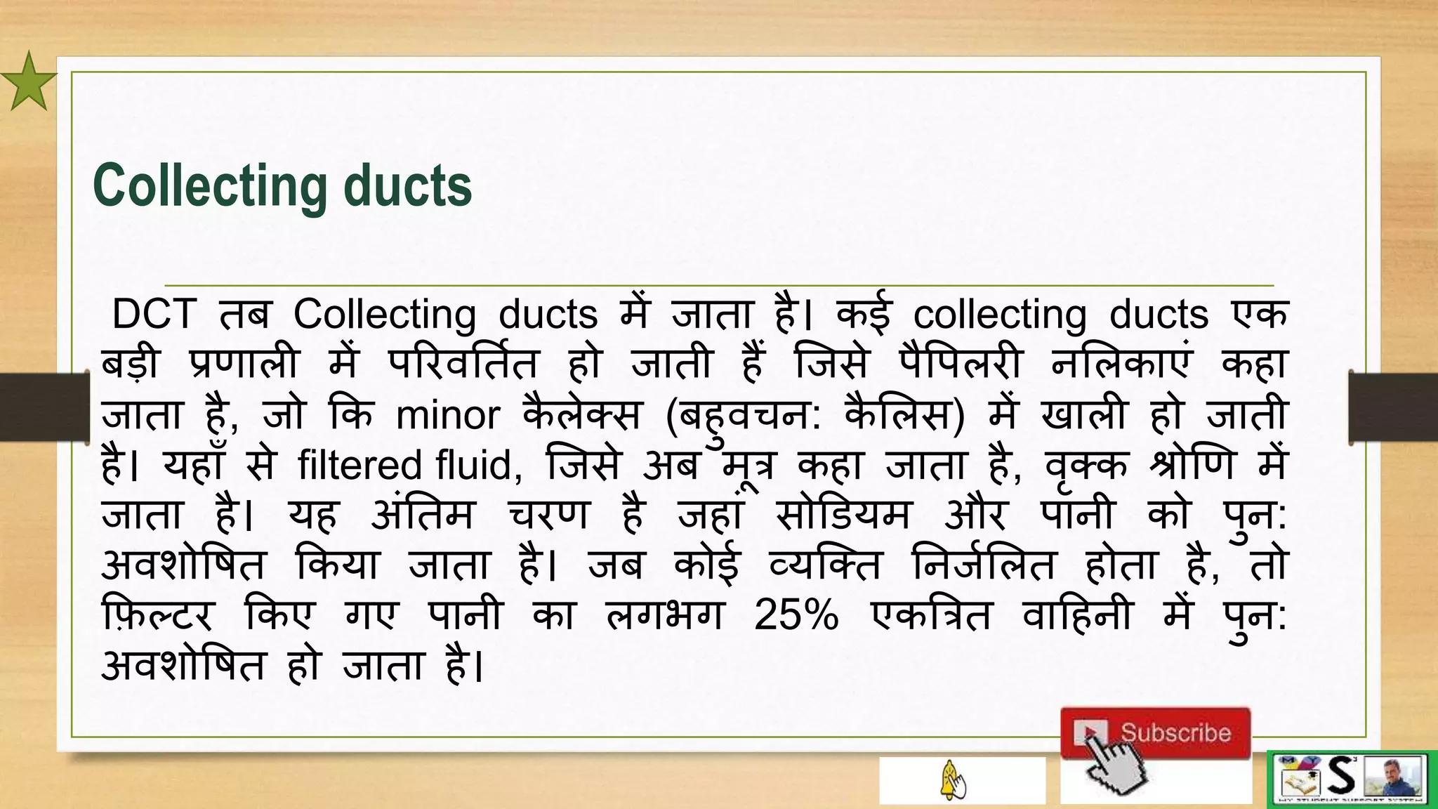 Urinary system (anatomy and physioloyg of nephrons ) hindi | PPTX