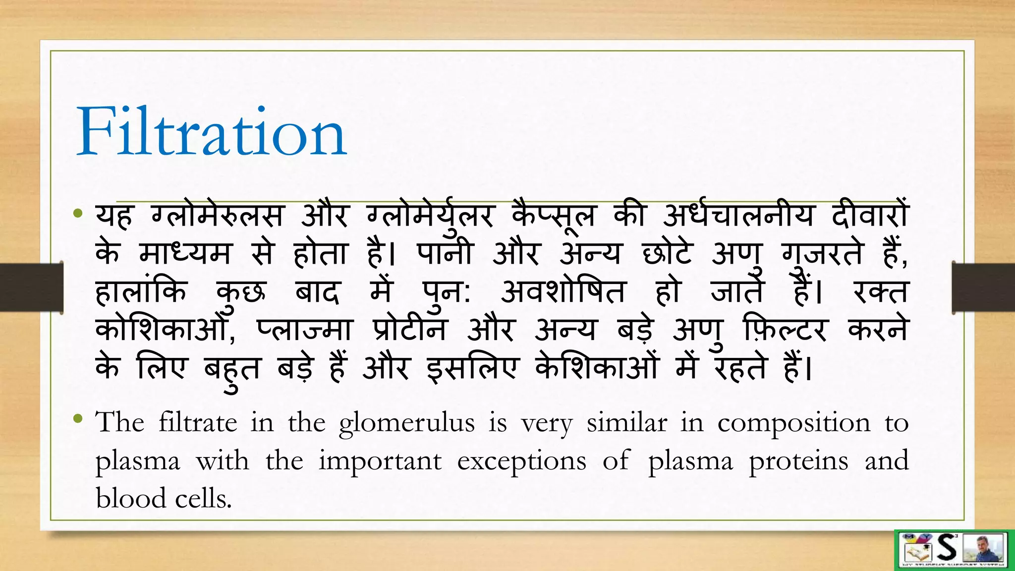 Urinary system (anatomy and physioloyg of nephrons ) hindi | PPTX