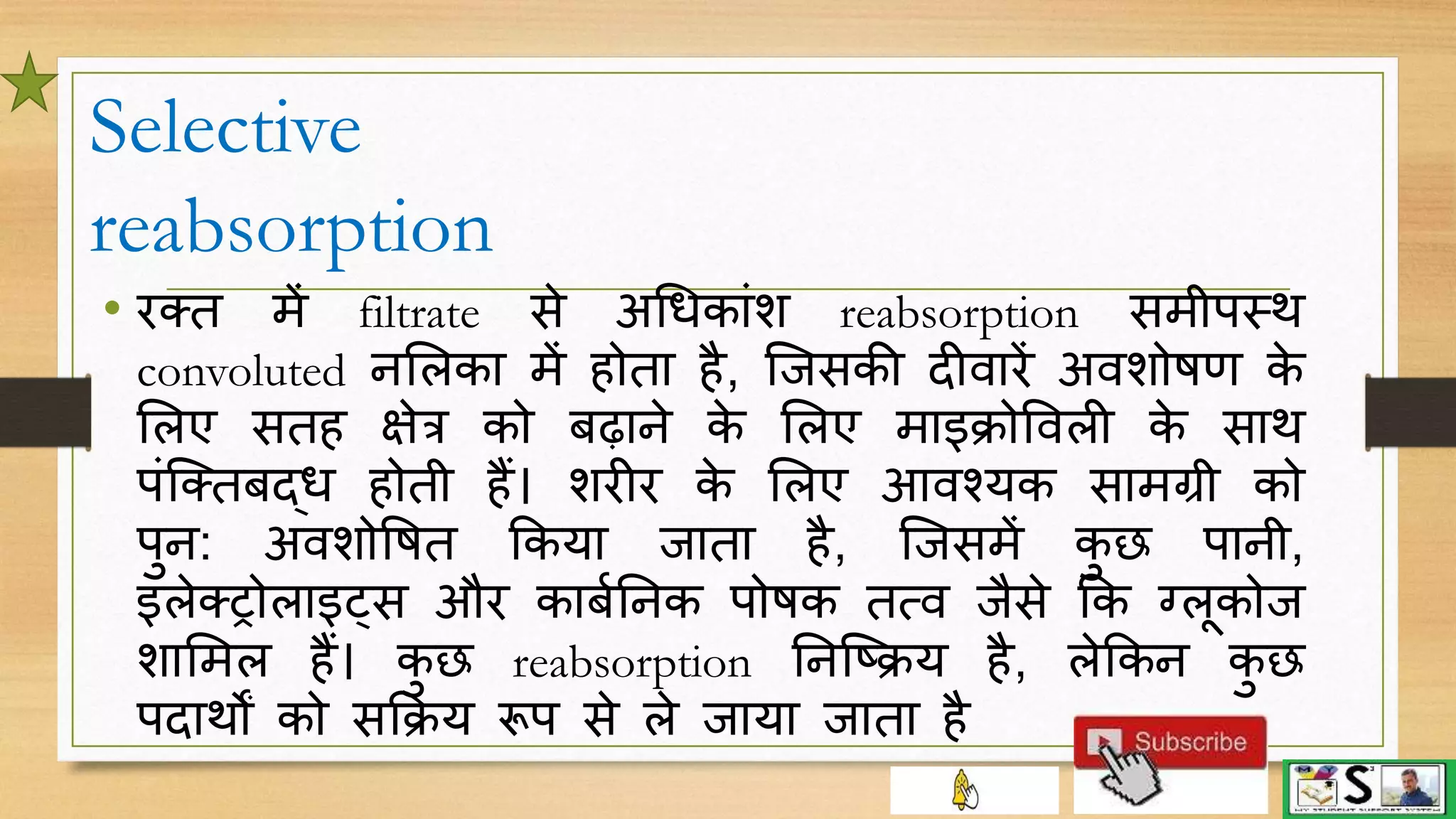 Urinary system (anatomy and physioloyg of nephrons ) hindi | PPTX