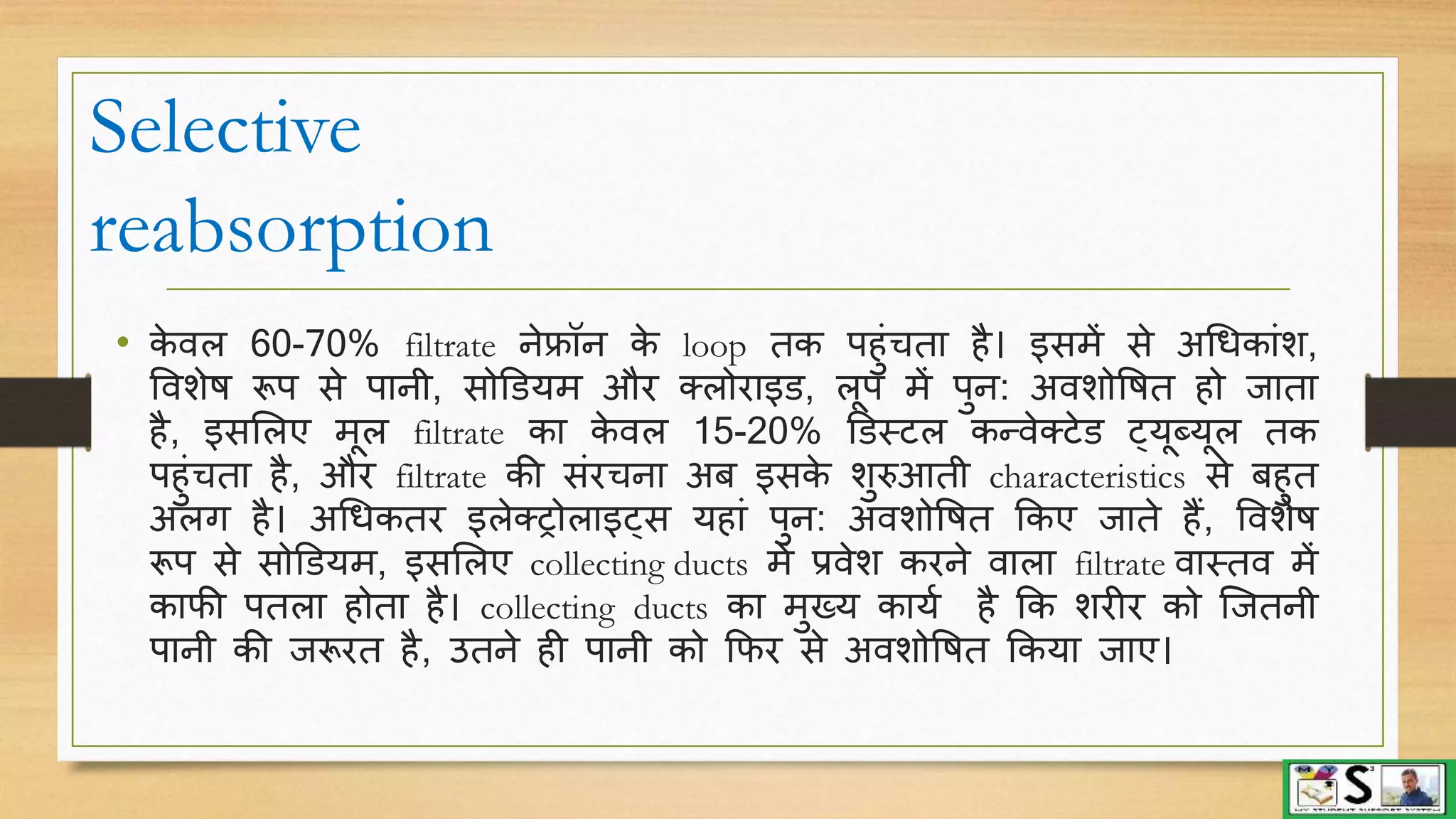 Urinary system (anatomy and physioloyg of nephrons ) hindi | PPTX