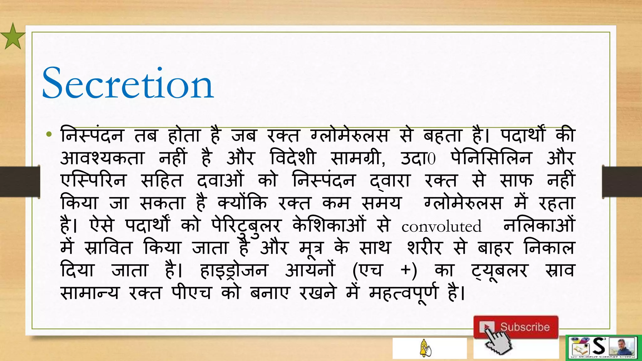 Urinary system (anatomy and physioloyg of nephrons ) hindi | PPTX