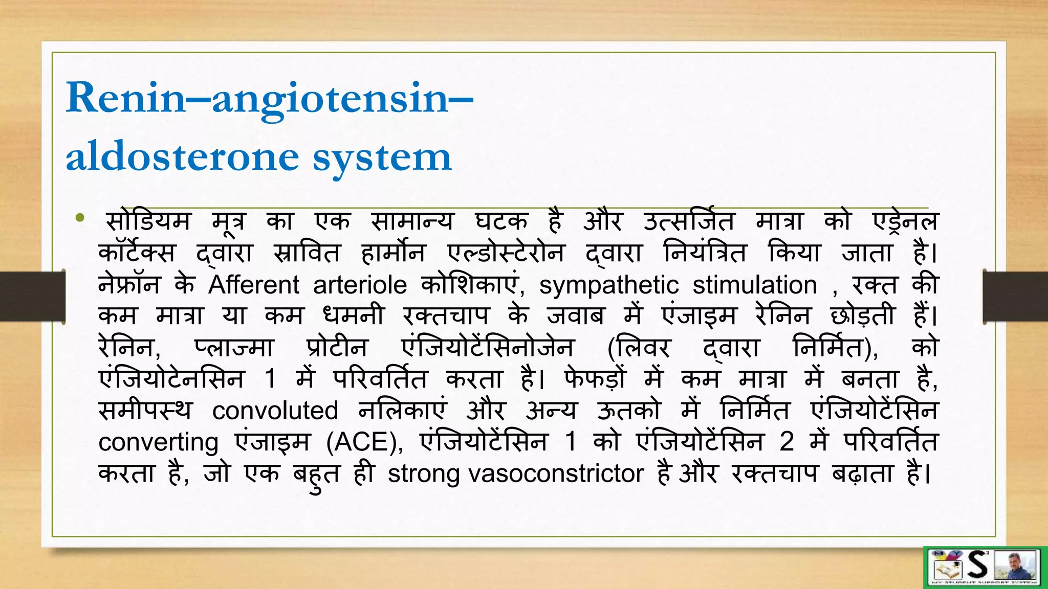 Urinary system (anatomy and physioloyg of nephrons ) hindi | PPTX
