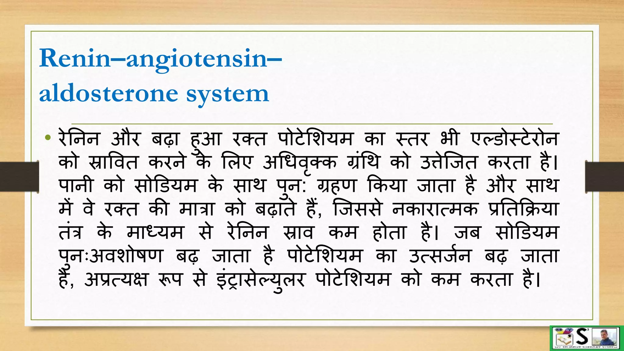 Urinary system (anatomy and physioloyg of nephrons ) hindi | PPTX