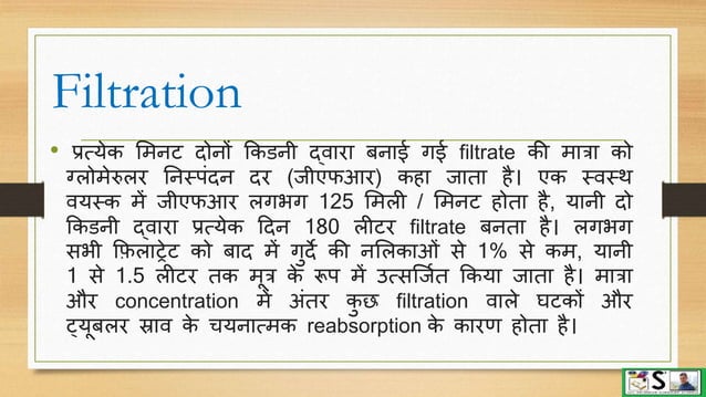 Urinary system (anatomy and physioloyg of nephrons ) hindi | PPTX