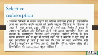 Urinary system (anatomy and physioloyg of nephrons ) hindi | PPTX