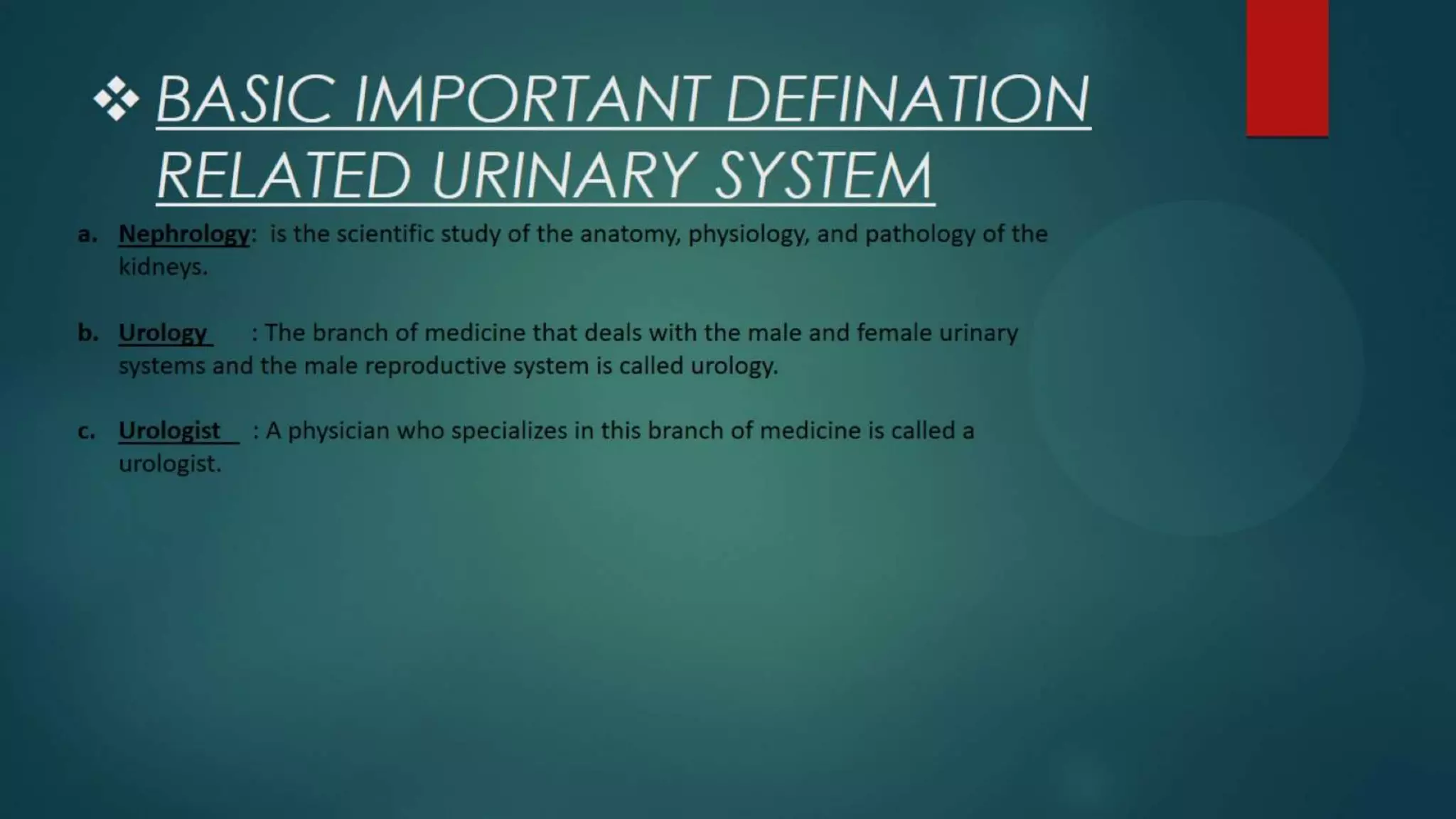 Urinary system by Dk.pptx
