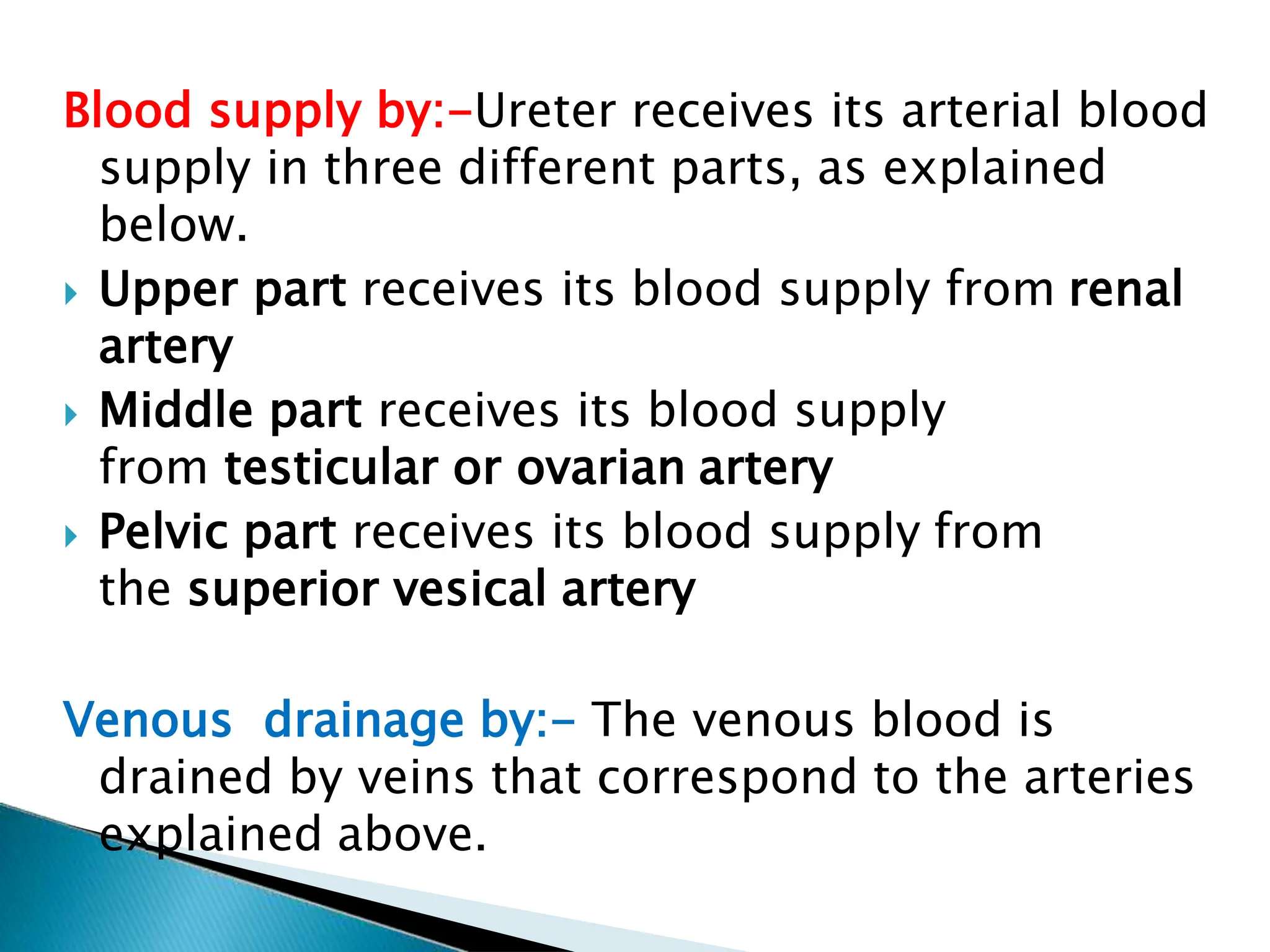 URINARY/ excretory SYSTEM anatomy & physiology | PPT
