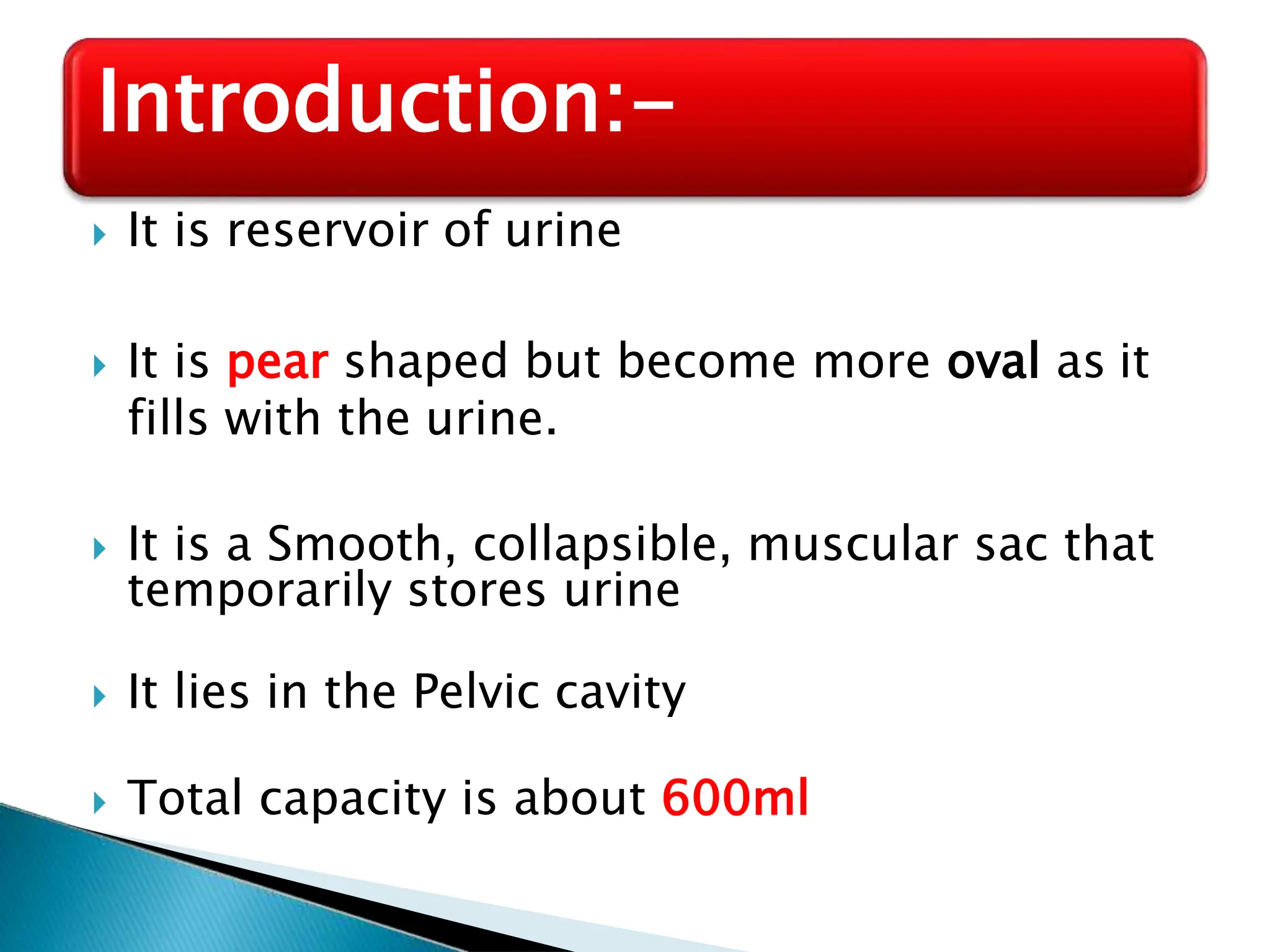 URINARY/ excretory SYSTEM anatomy & physiology | PPT