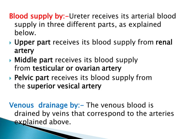 URINARY/ excretory SYSTEM anatomy & physiology | PPT