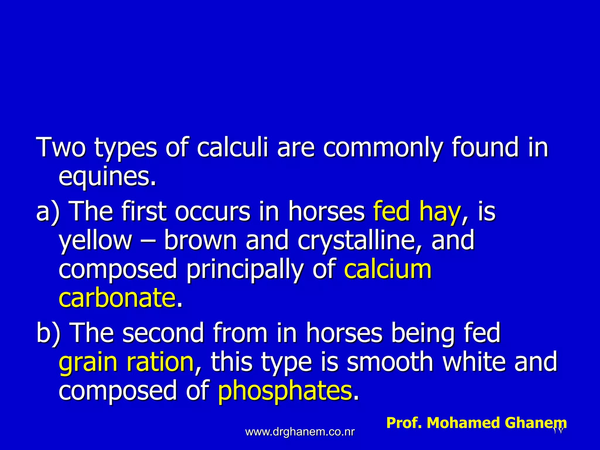 Urinary system diseases in horse | PDF
