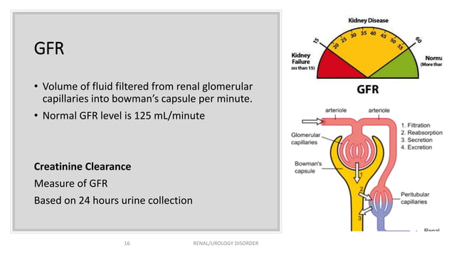 Urinary system disorder