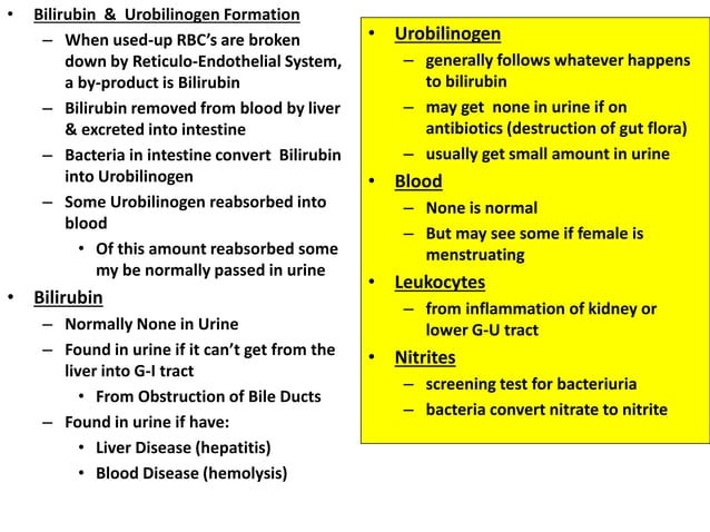 Urinary system disorders.pptx