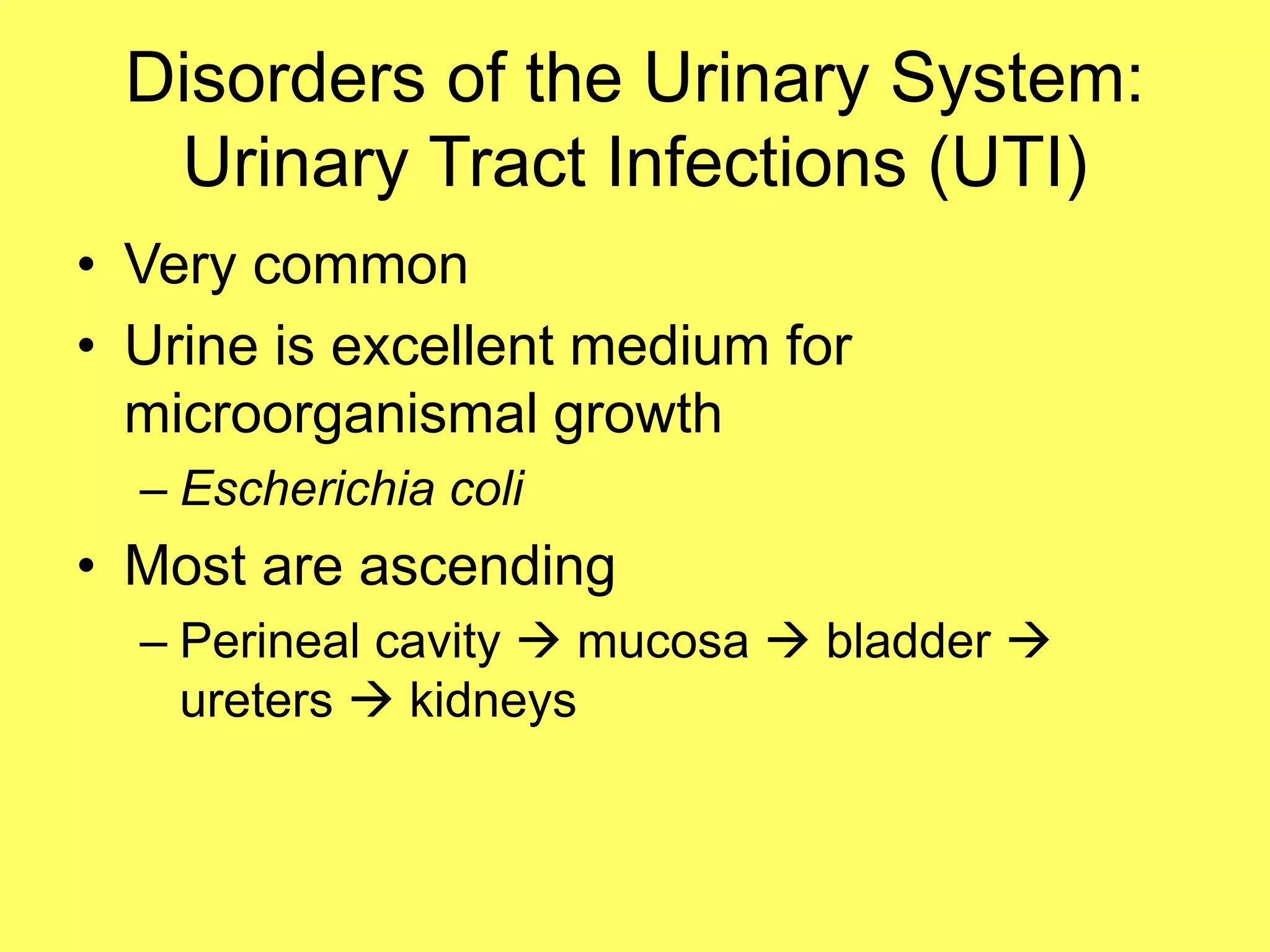 Urinary_System_Disorders.pptx