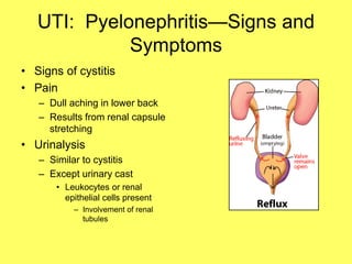 Urinary_System_Disorders.pptx