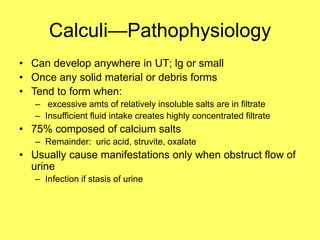 Urinary_System_Disorders.pptx