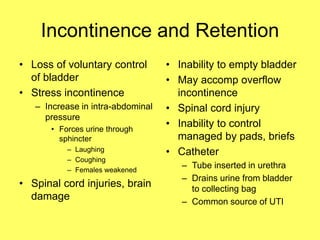 Urinary_System_Disorders.pptx
