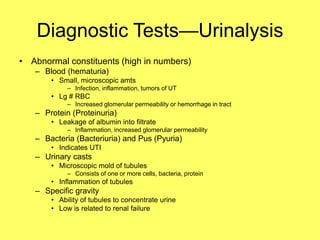 Urinary_System_Disorders.pptx
