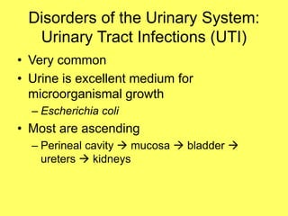 Urinary_System_Disorders.pptx