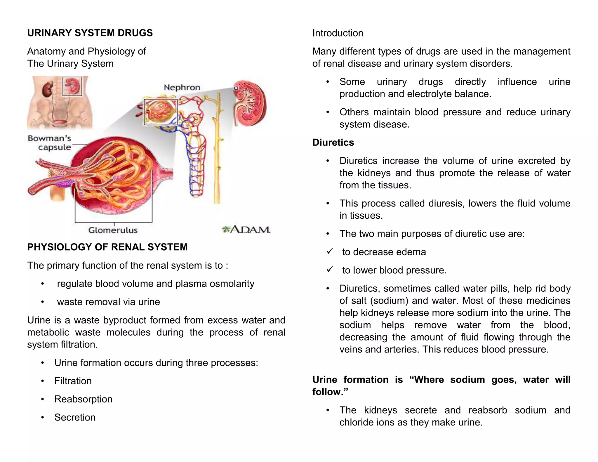 URINARY SYSTEM DRUGS.docx
