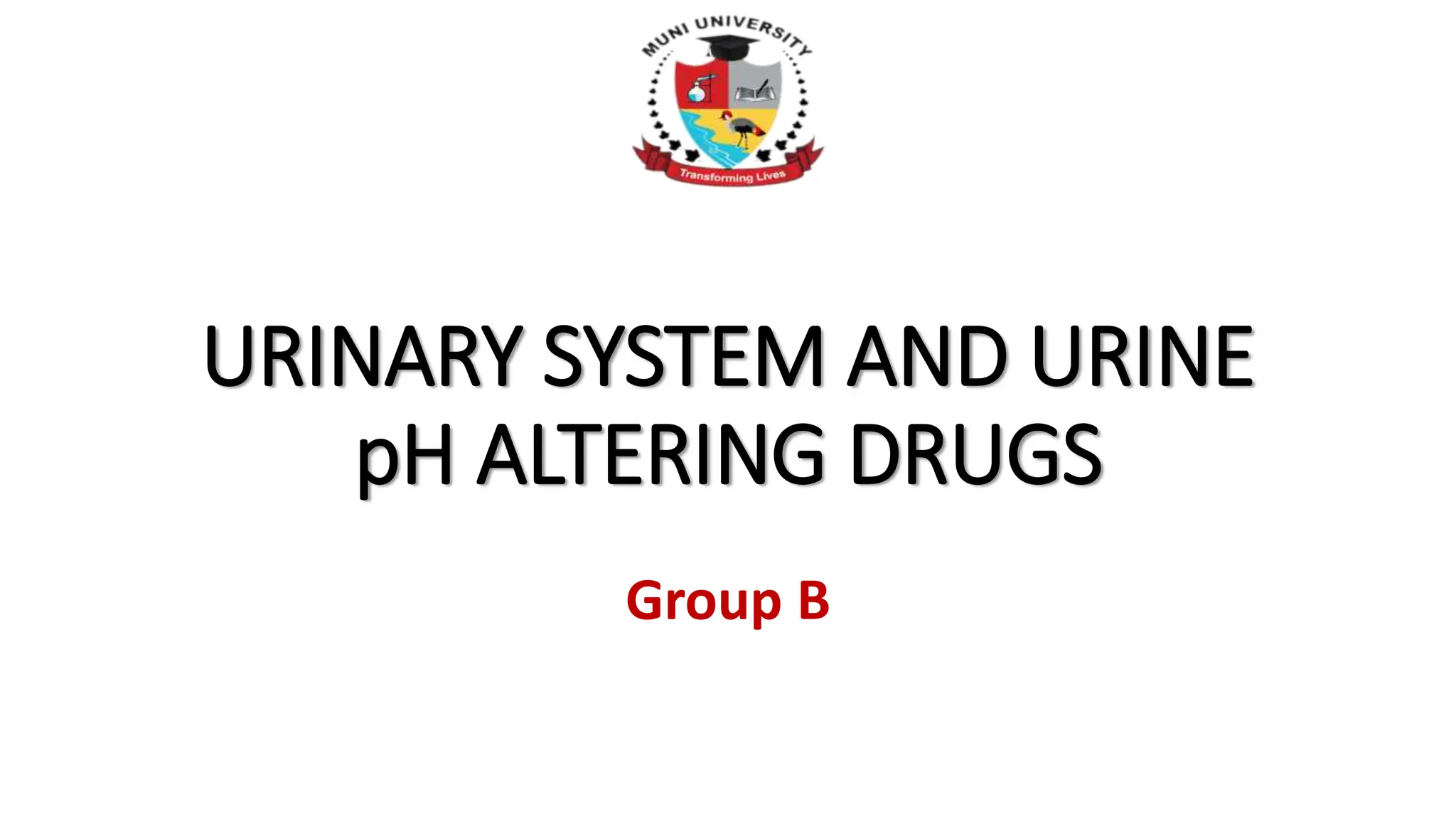 urinary system drugs and urine pH altering drugs-1.pptx