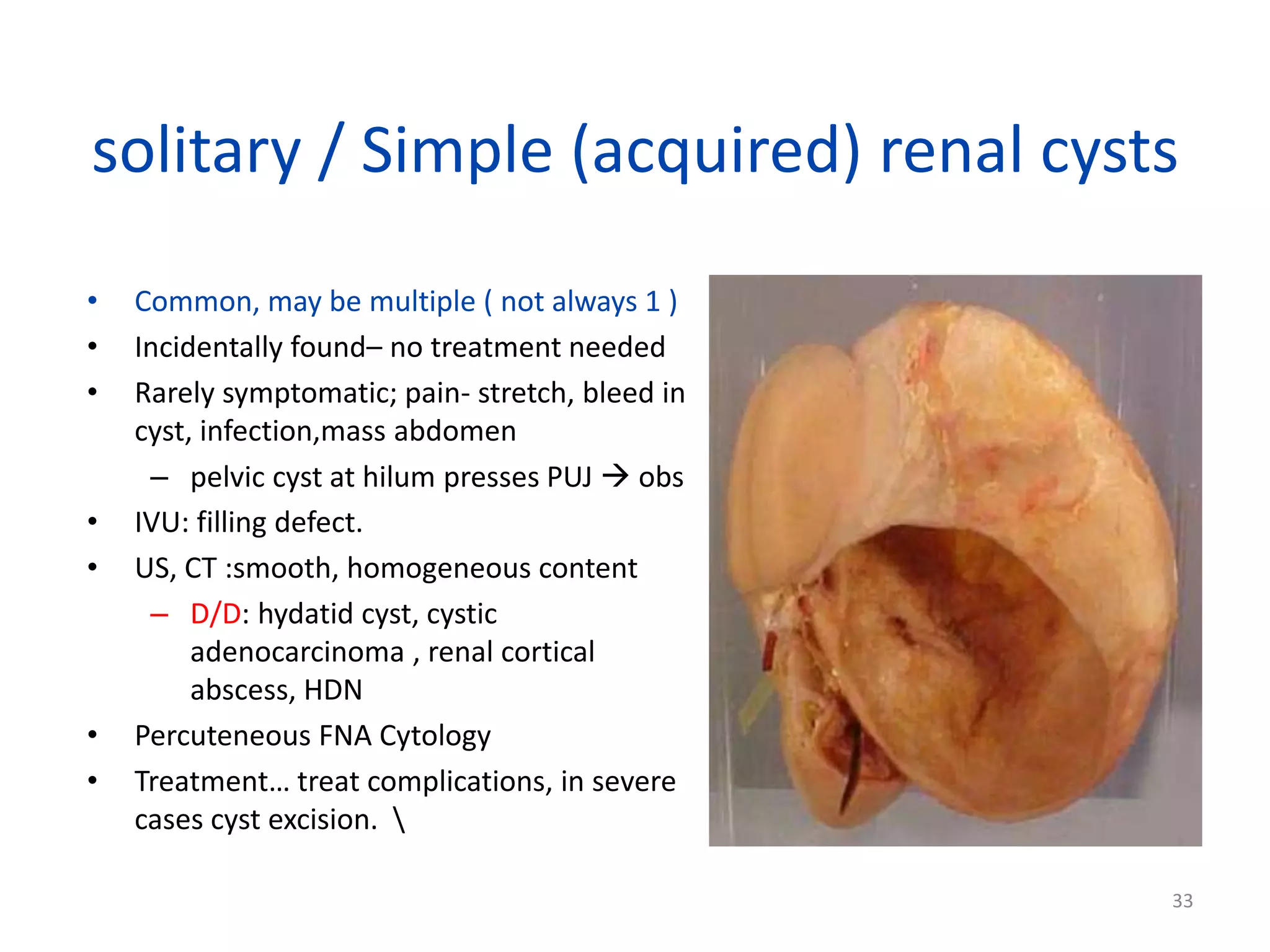 Urinary system embryology | PPTX