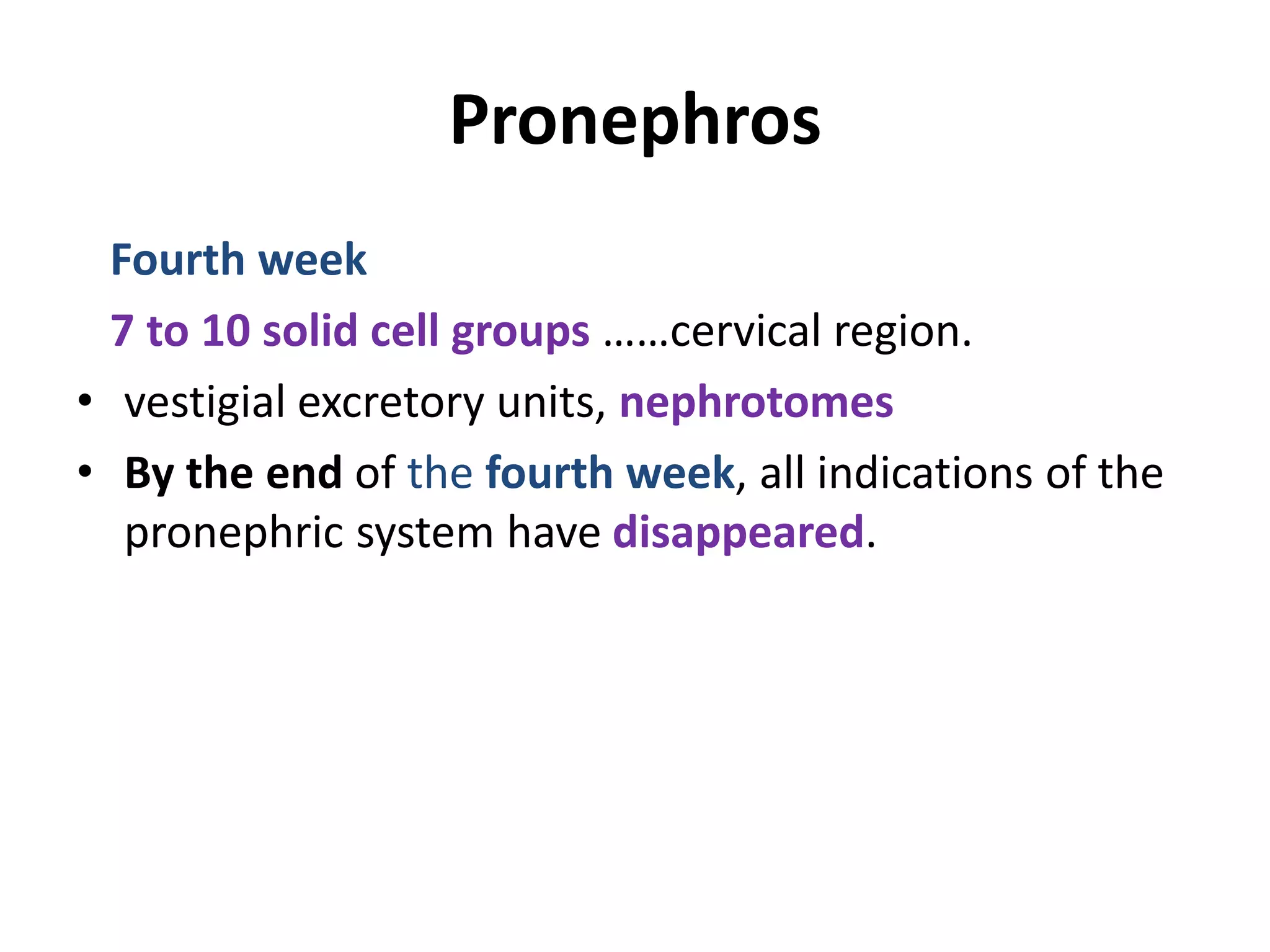 Urinary system embryology | PPTX