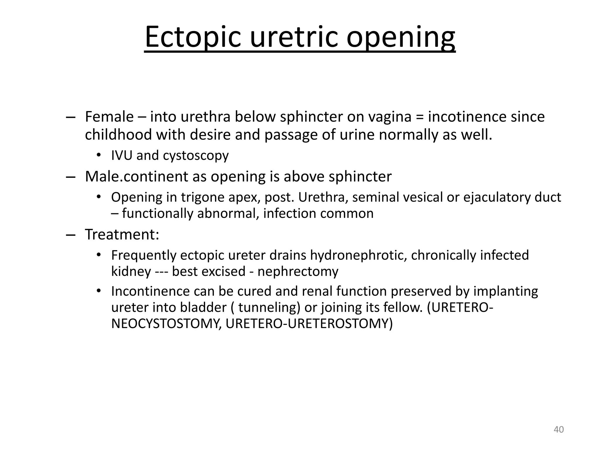 Urinary system embryology | PPTX | Science