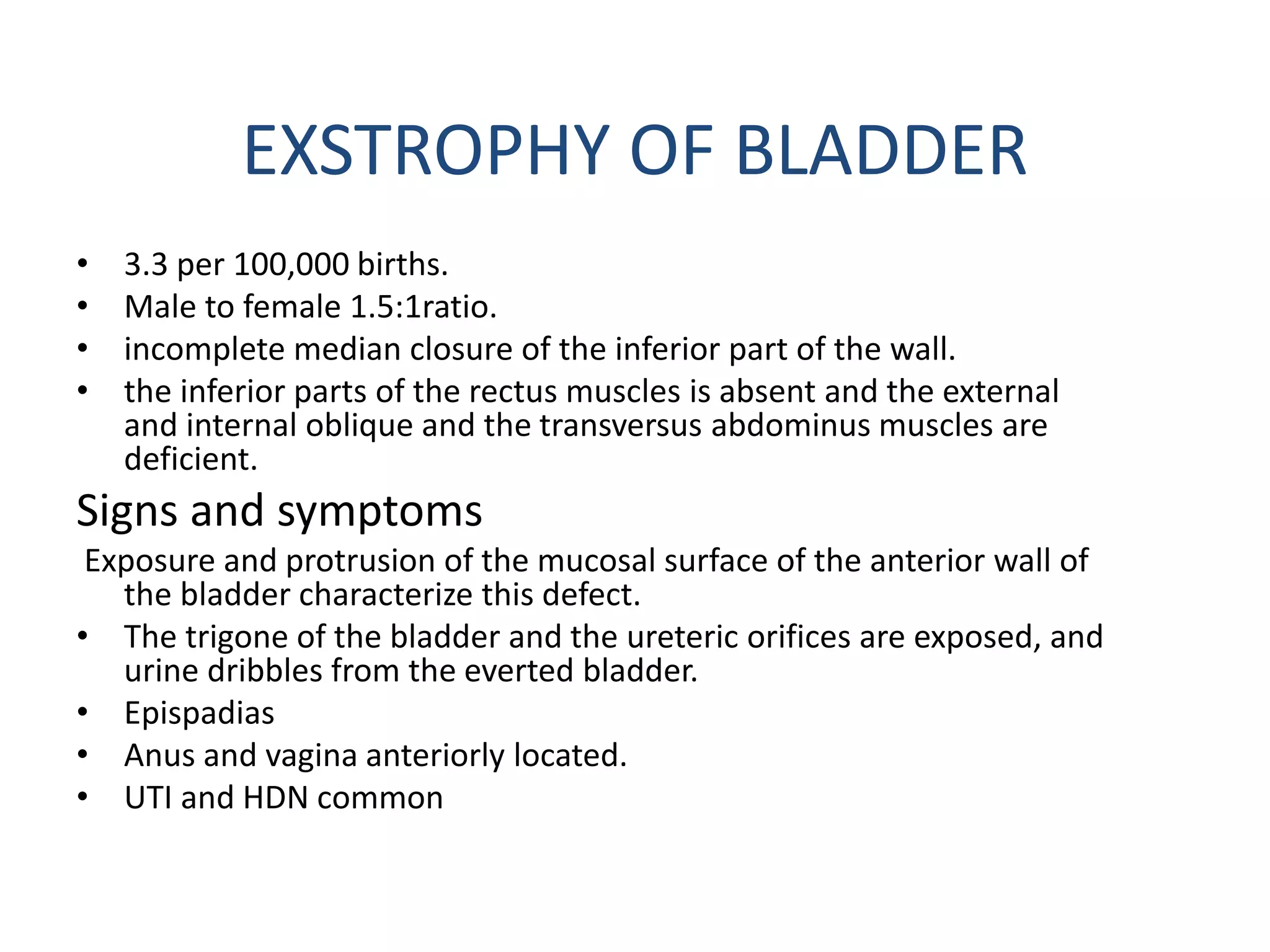 Urinary system embryology | PPTX