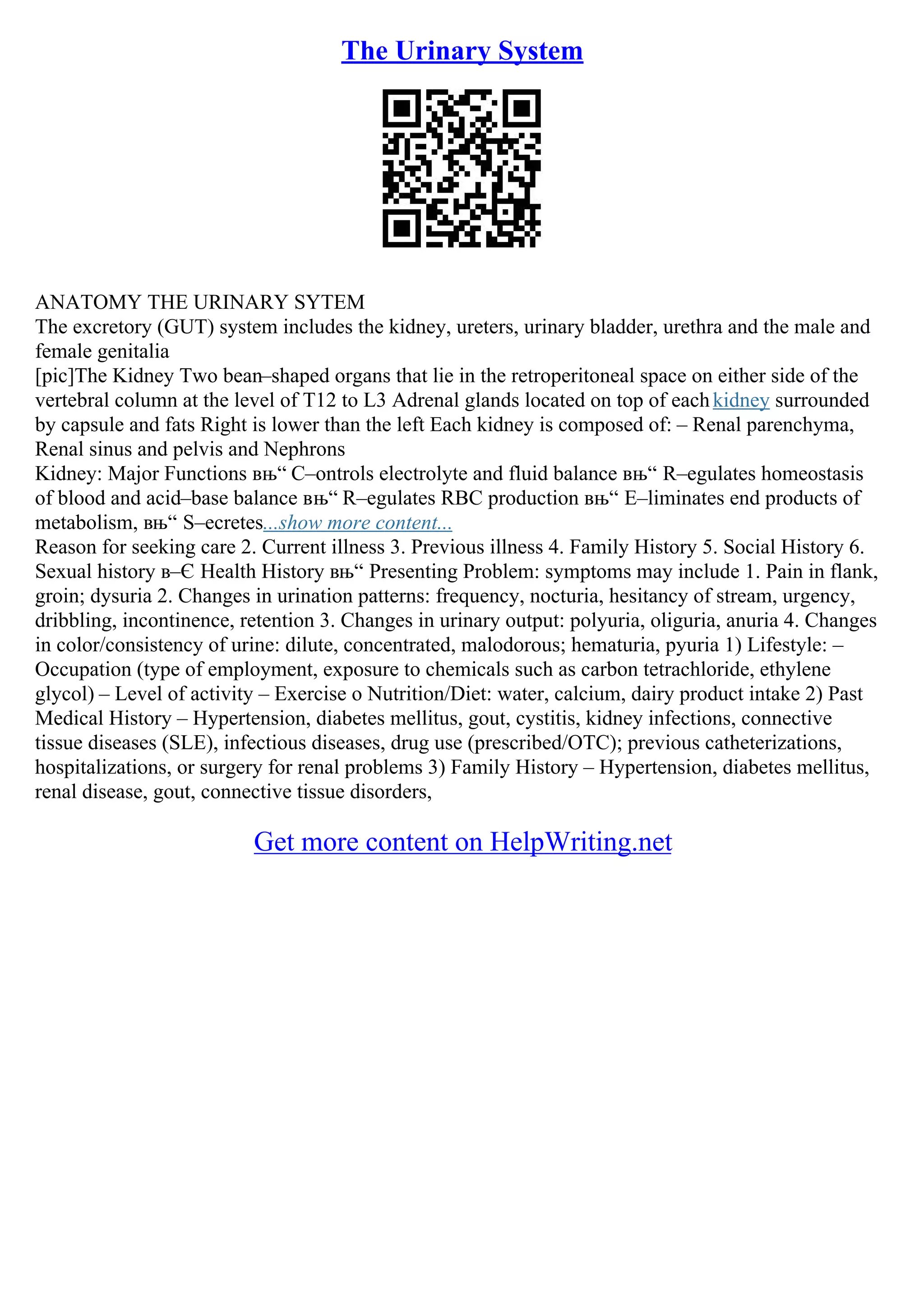 Urinary System Essay | PDF