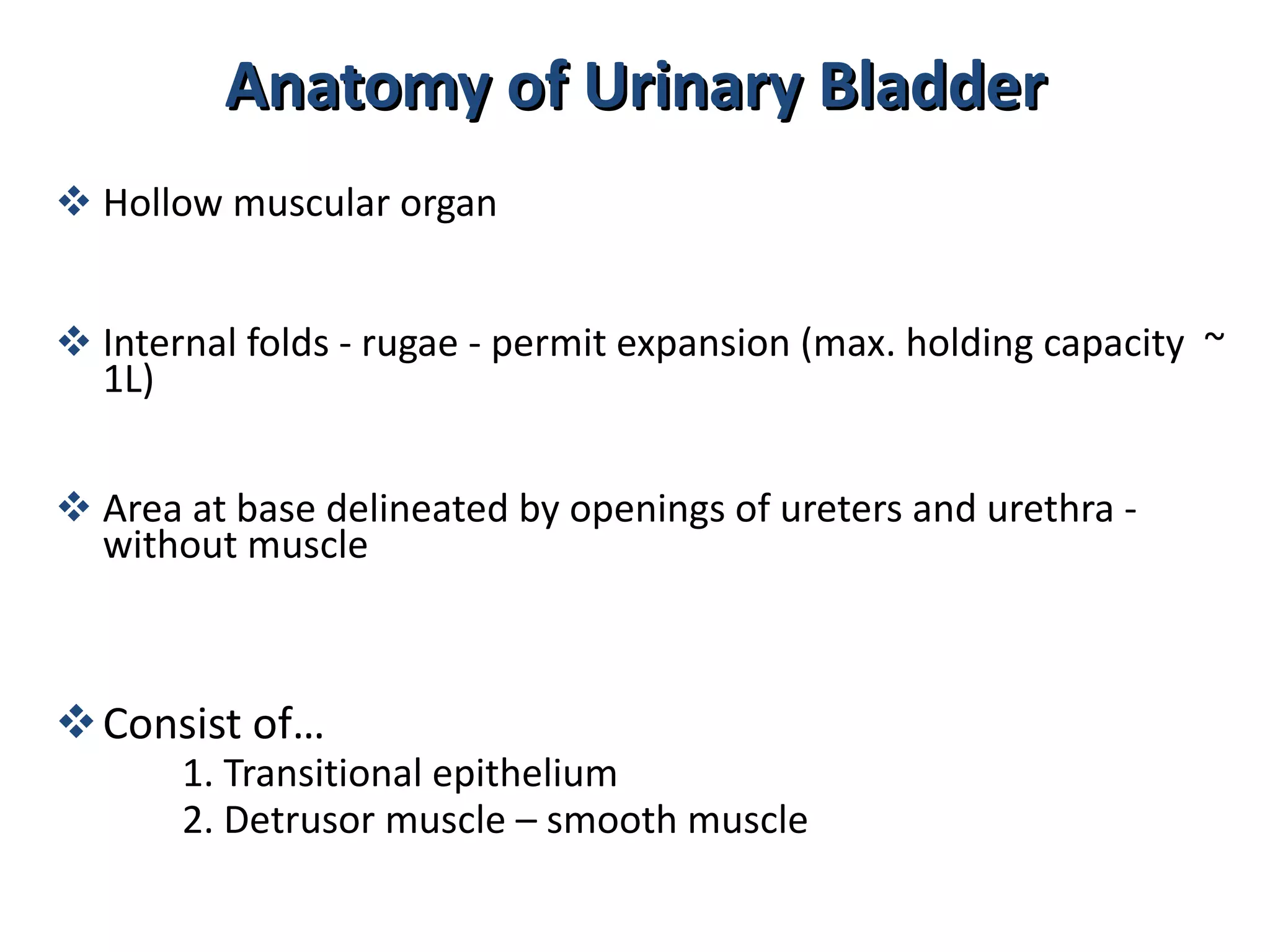 Urinary system | PPT