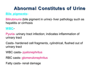 Urinary system | PPT