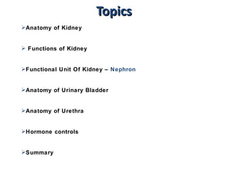 Urinary system | PPT