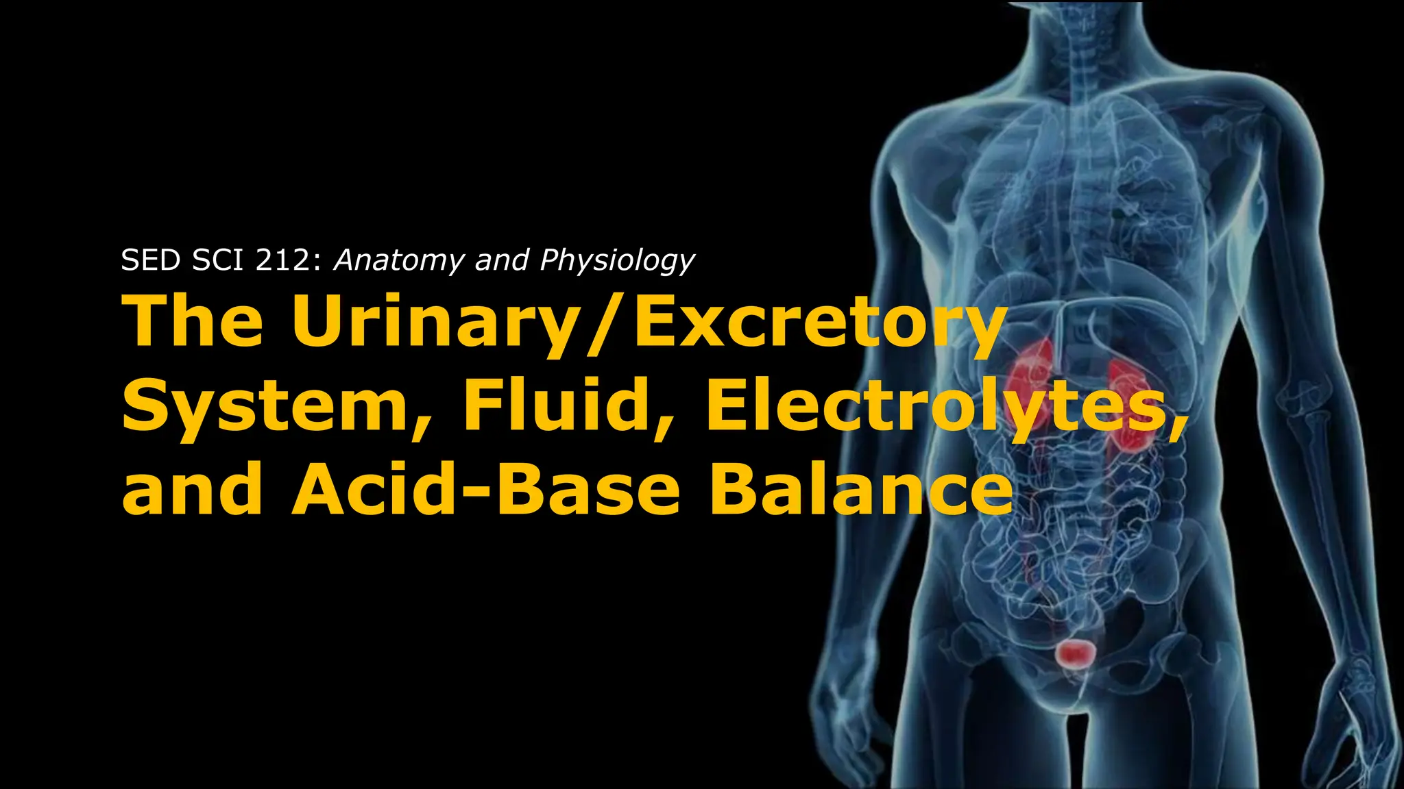 URINARY SYSTEM, FLUID, ELECTROLYTES, AND ACID BASE BALANCE Final ...