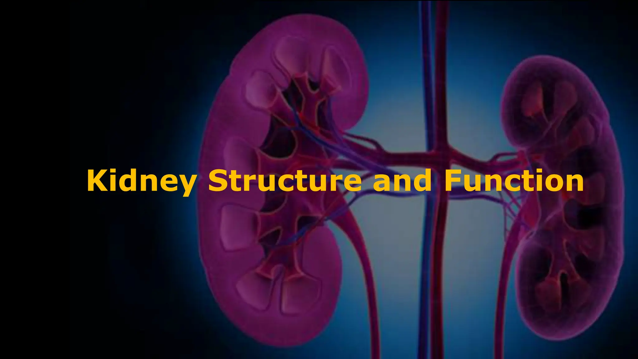 URINARY SYSTEM, FLUID, ELECTROLYTES, AND ACID BASE BALANCE Final ...