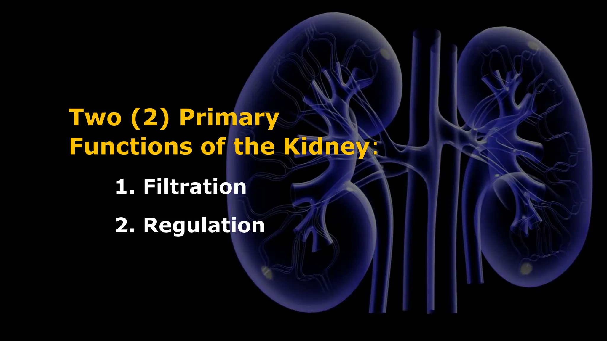 URINARY SYSTEM, FLUID, ELECTROLYTES, AND ACID BASE BALANCE Final ...