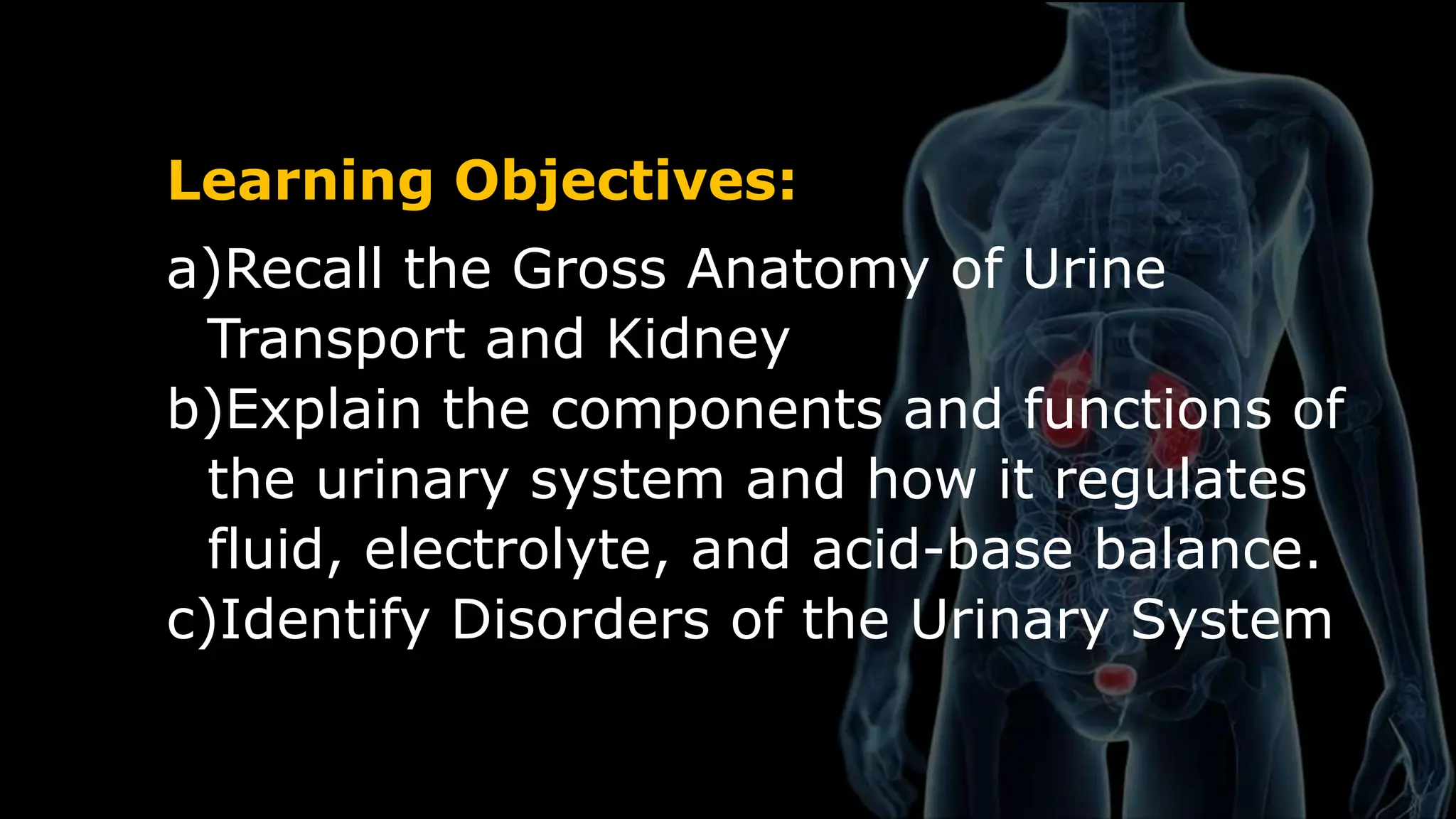 URINARY SYSTEM, FLUID, ELECTROLYTES, AND ACID BASE BALANCE Final ...
