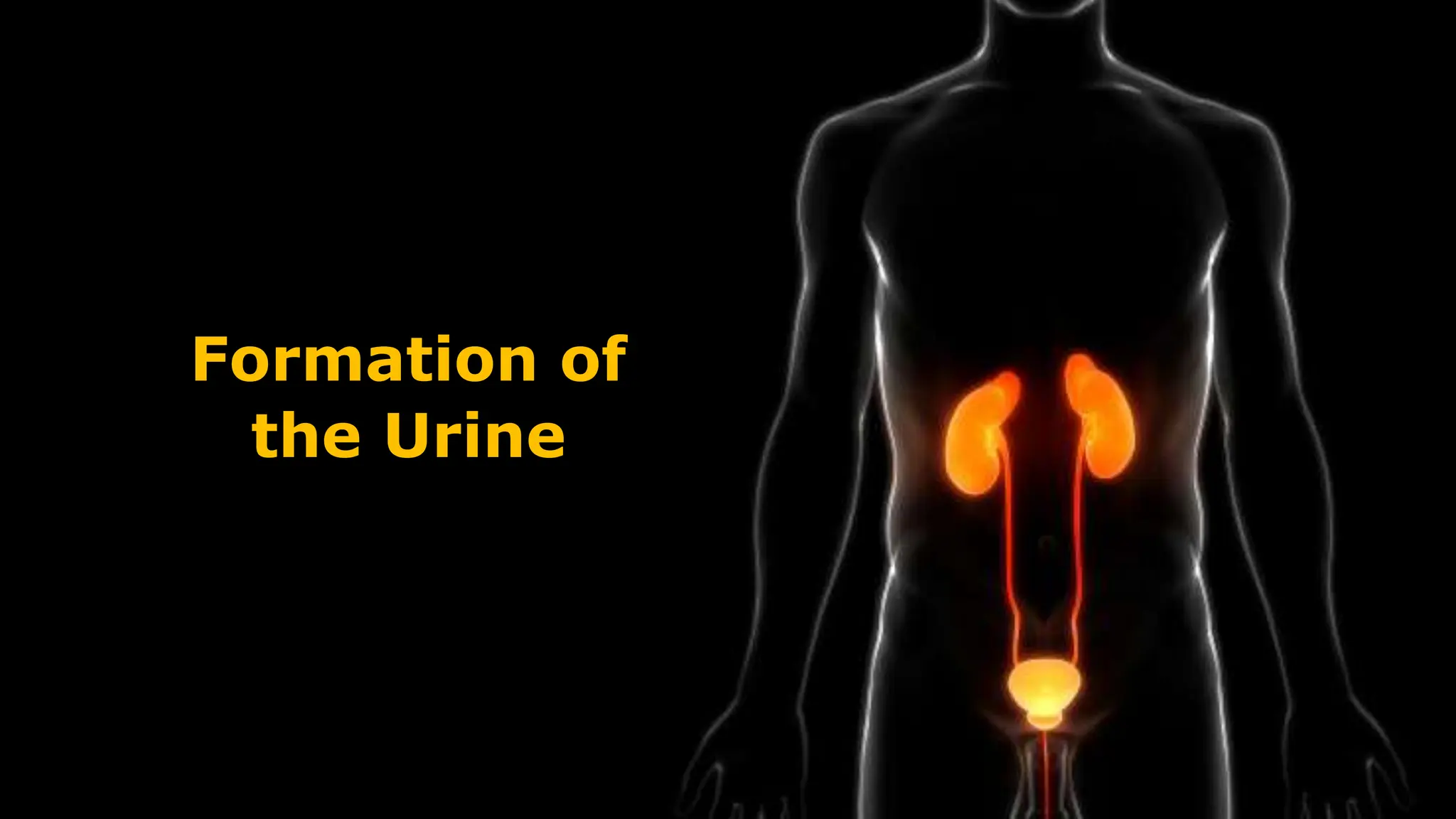 URINARY SYSTEM, FLUID, ELECTROLYTES, AND ACID BASE BALANCE Final ...