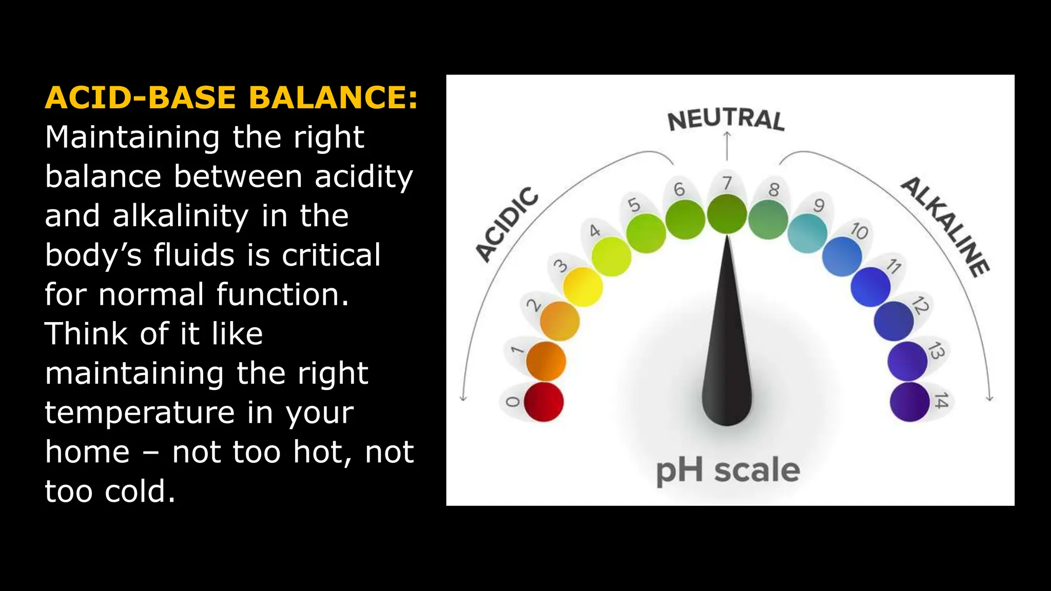 URINARY SYSTEM, FLUID, ELECTROLYTES, AND ACID BASE BALANCE Final ...