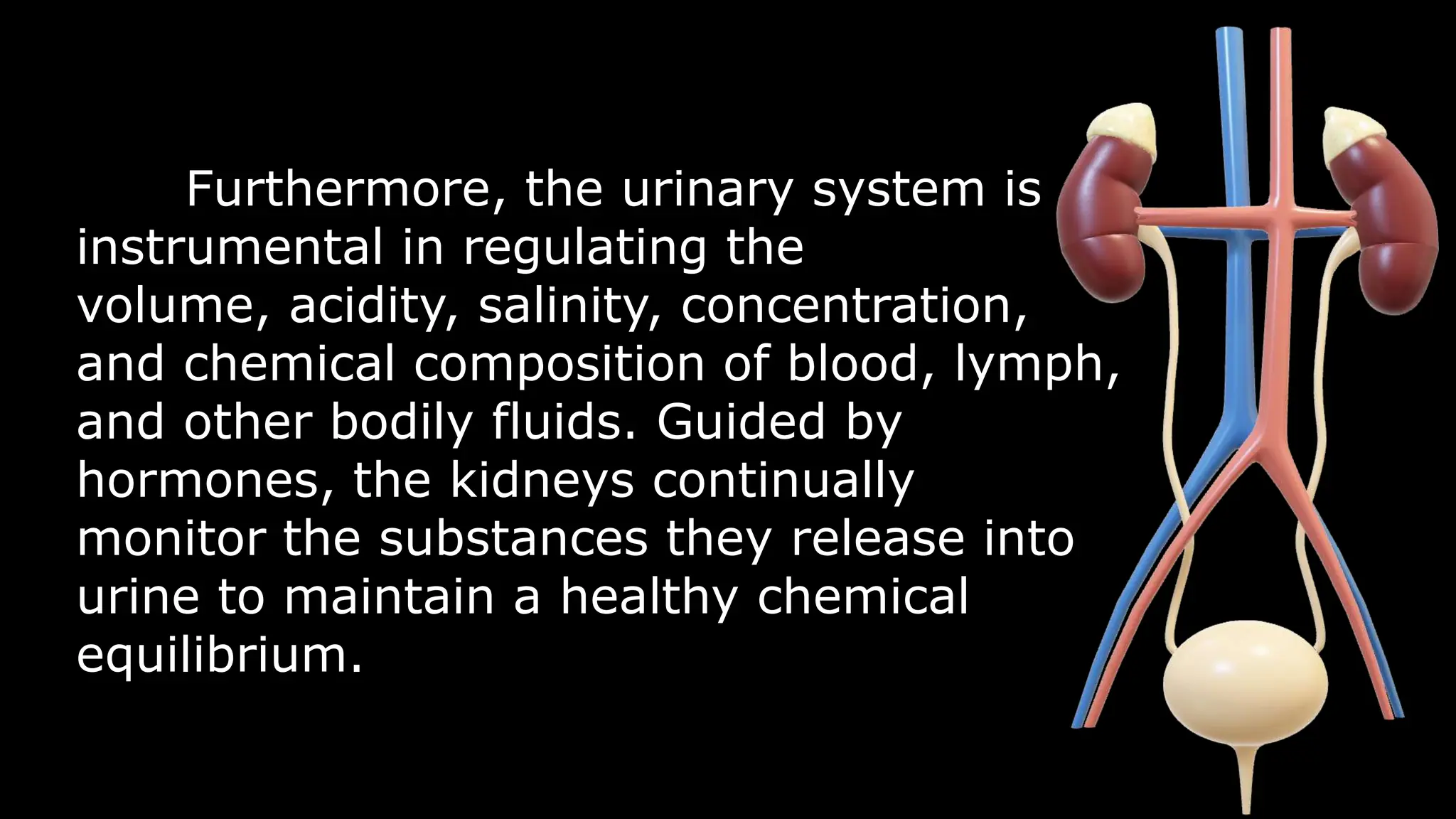 URINARY SYSTEM, FLUID, ELECTROLYTES, AND ACID BASE BALANCE Final ...