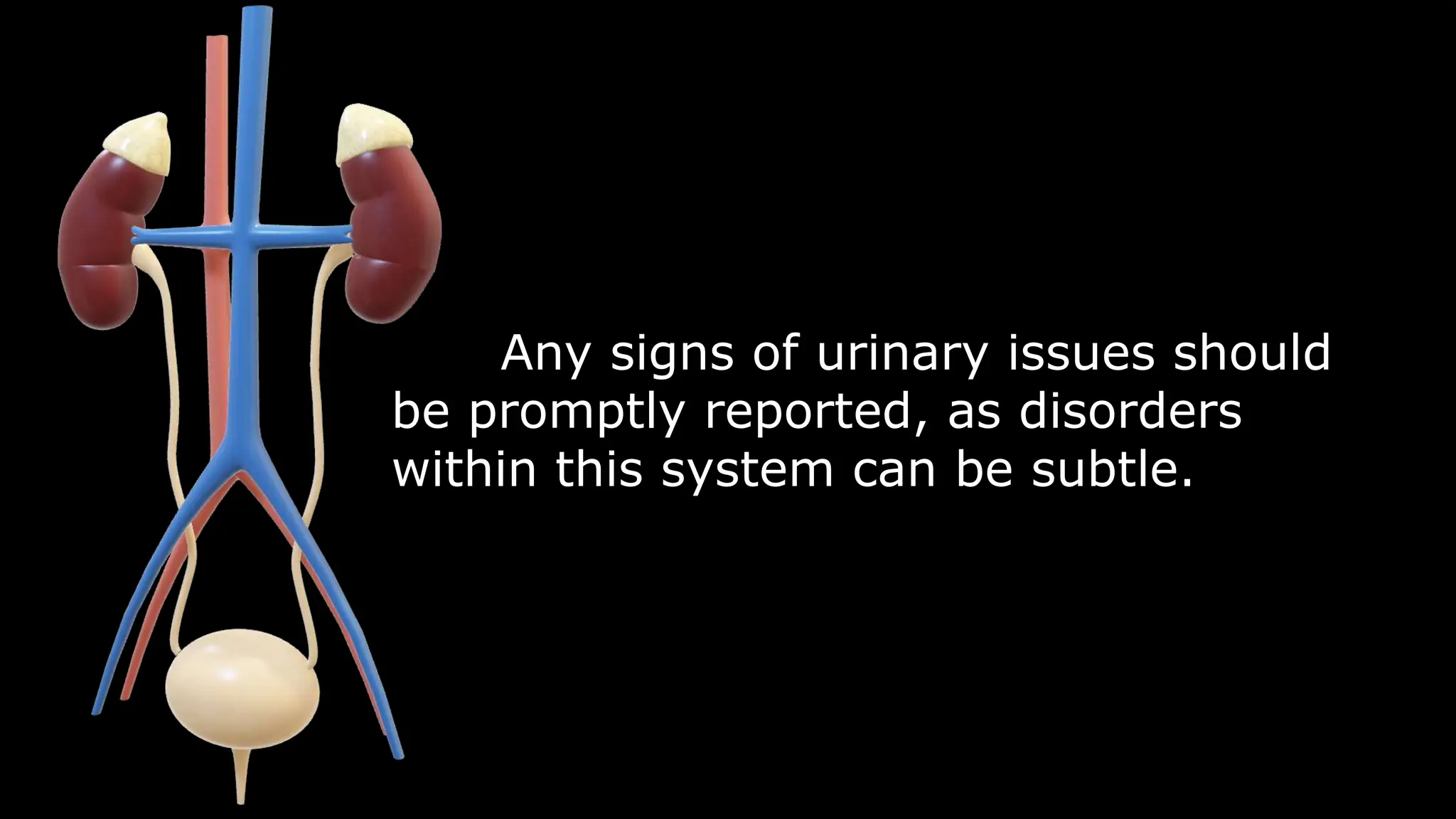URINARY SYSTEM, FLUID, ELECTROLYTES, AND ACID BASE BALANCE Final ...