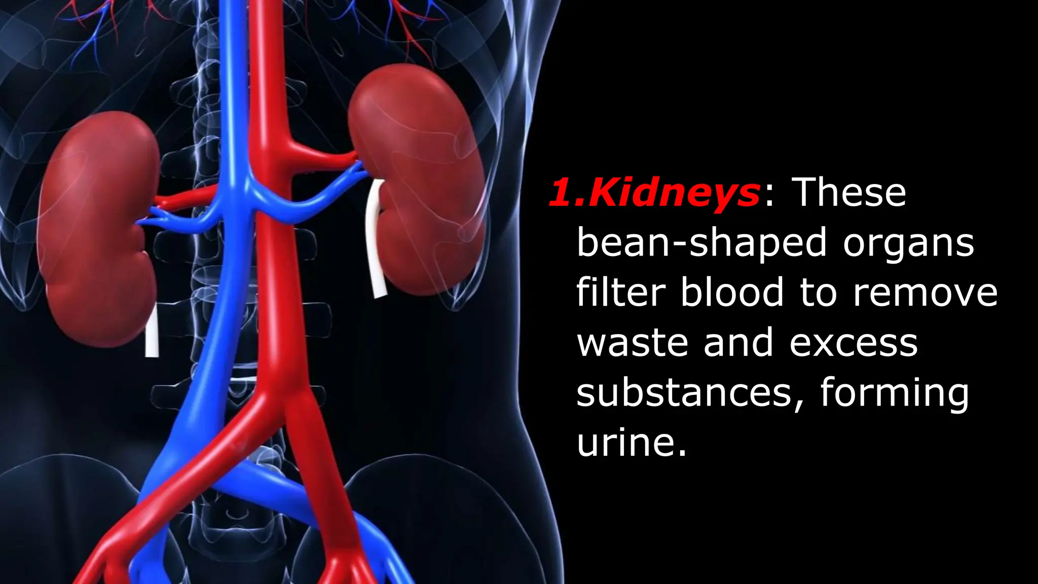 URINARY SYSTEM, FLUID, ELECTROLYTES, AND ACID BASE BALANCE Final ...